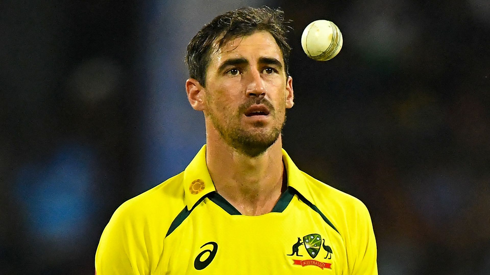 Starc and Warner chasing landmarks as Australia tackle Zimbabwe ...